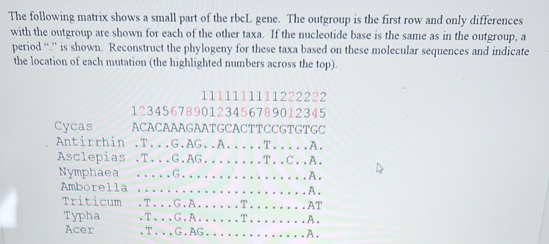 Solved The following matrix shows a small part of the rbcL | Chegg.com