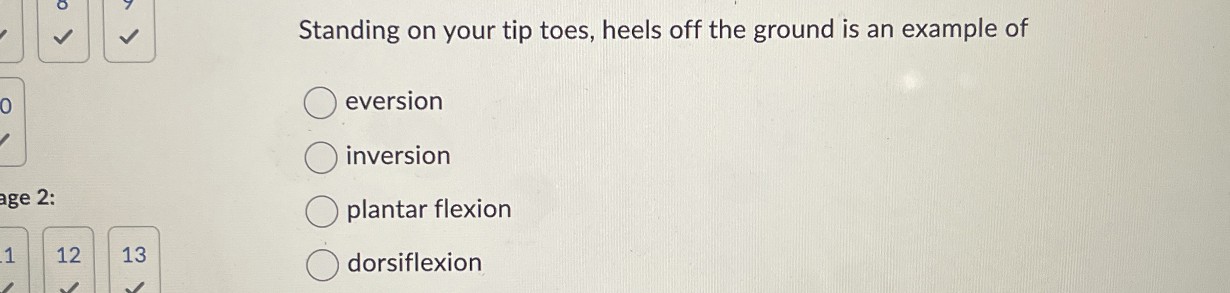 Solved Standing on your tip toes, heels off the ground is an | Chegg.com