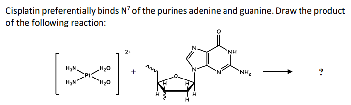 Solved Cisplatin preferentially binds N7 ﻿of the purines | Chegg.com