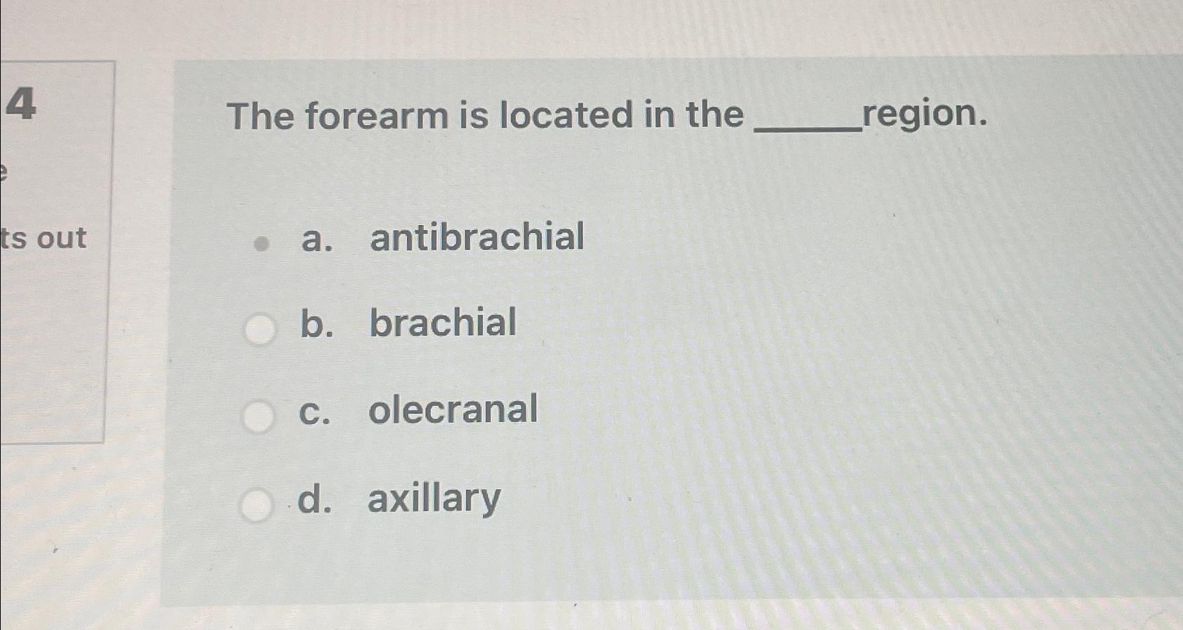 Solved The forearm is located in the region.a. | Chegg.com
