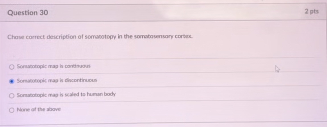 Solved Chose correct description of somatotopy in the | Chegg.com