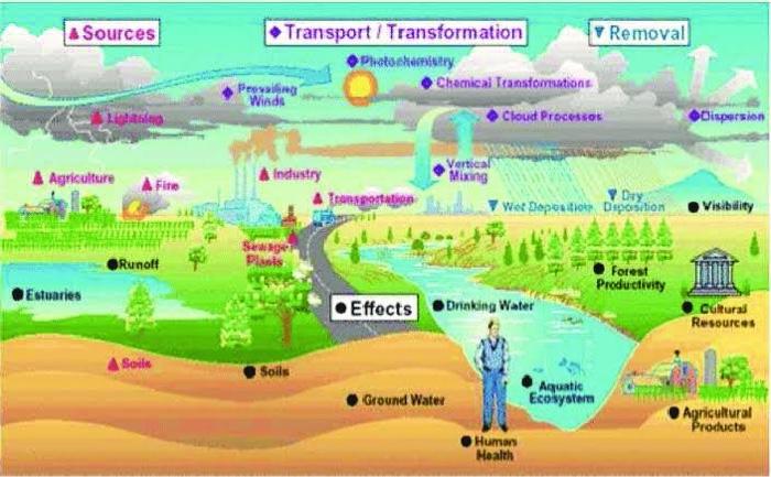 Solved Topic: Air pollutionExplain clearly the transport and | Chegg.com