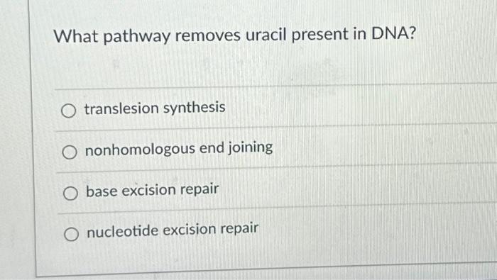 Solved What pathway removes uracil present in DNA? | Chegg.com