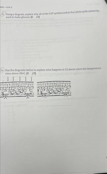 Solved 3. Using a diagram, explain why all of the G3P | Chegg.com