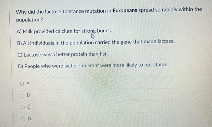 Solved Why did the lactose tolerance mutation in Europeans | Chegg.com