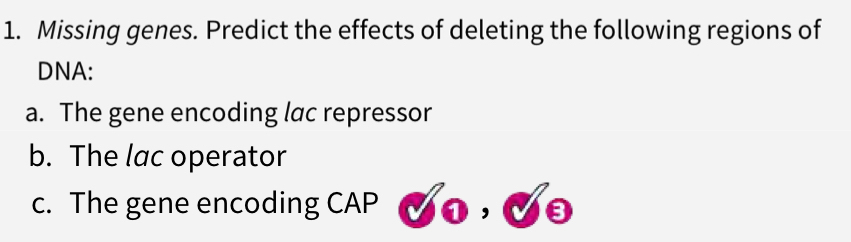 Solved Missing genes. Predict the effects of deleting the | Chegg.com