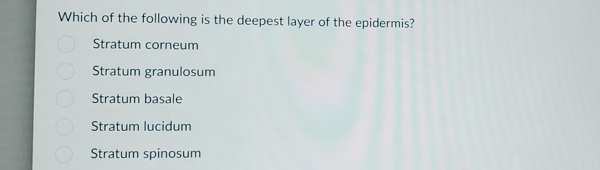 Solved Which of the following is the deepest layer of the | Chegg.com