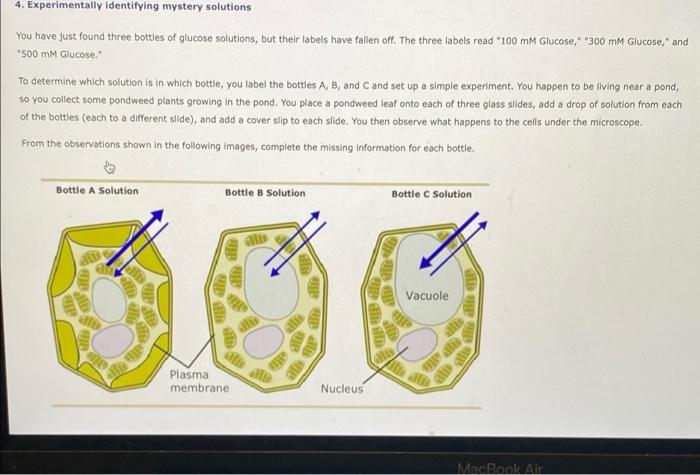 Solved 4. Experimentally identifying mystery solutions You | Chegg.com