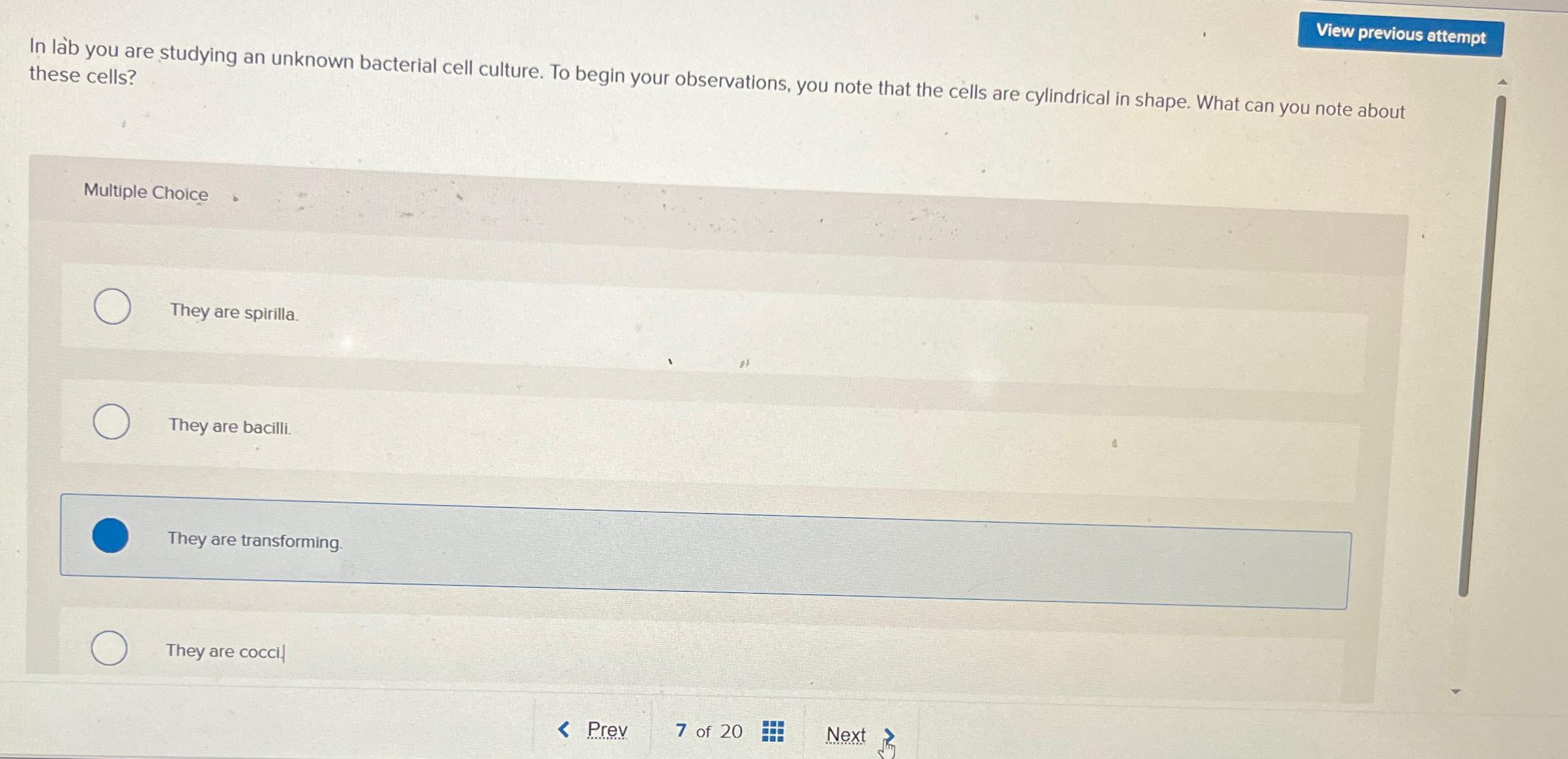 Solved In làb you are studying an unknown bacterial cell | Chegg.com