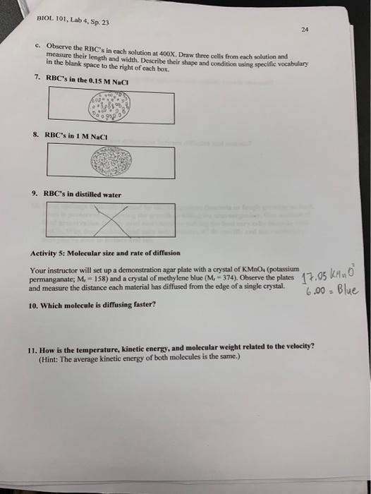Solved c. Observe the RBC's in each solution at 400X. Draw | Chegg.com