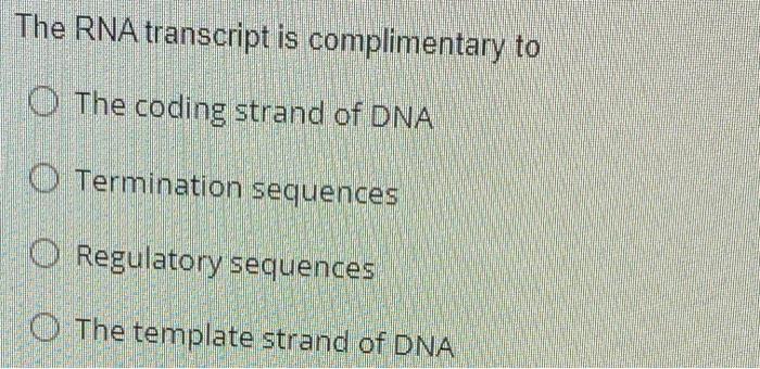 Solved The RNA transcript is complimentary to O The coding | Chegg.com
