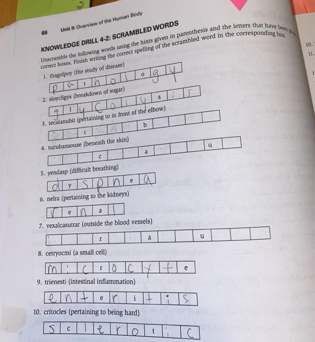 Solved Unscramble the following words using the hints given | Chegg.com