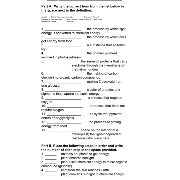 Part A. Write the correct term from the list below in | Chegg.com