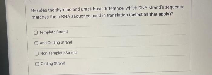 Solved Besides The Thymine And Uracil Base Difference Which