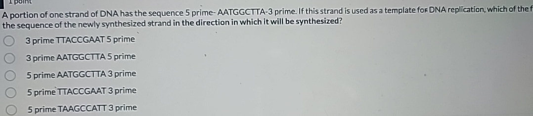 Solved A portion of one strand of DNA has the sequence 5 | Chegg.com