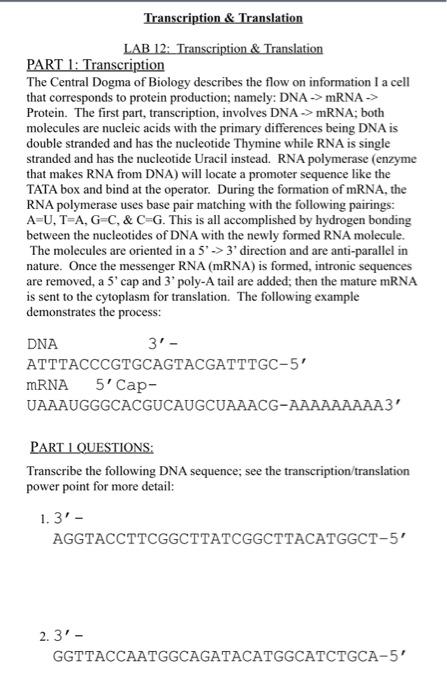Solved What is the function of the centromere? | Chegg.com
