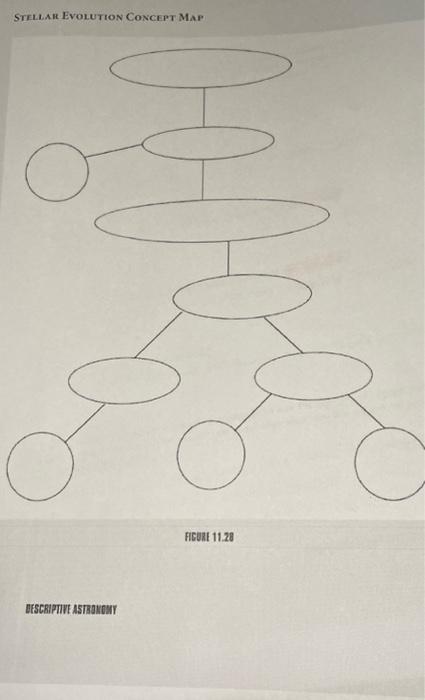 Solved Insert the followits objects inso their proper oval, | Chegg.com