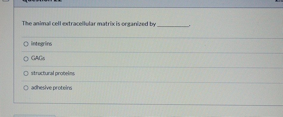 Solved The animal cell extracellular matrix is organized by | Chegg.com