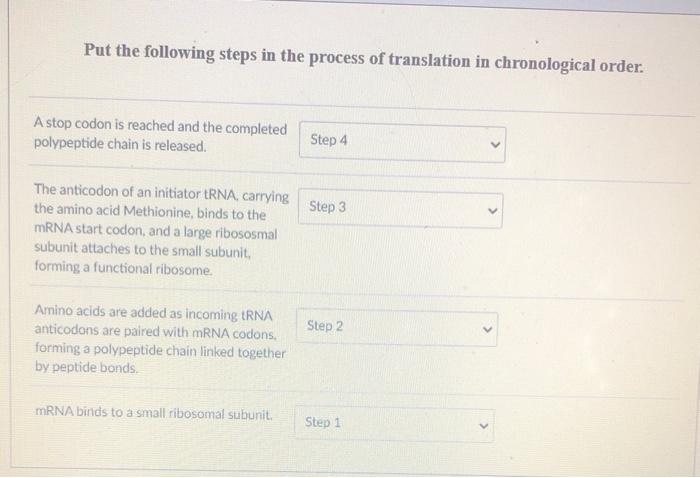 Solved Put the following steps in the process of translation | Chegg.com