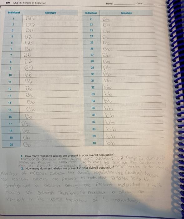 Solved 100 LAB 4 Forces of Evolution Nome Data Individual | Chegg.com