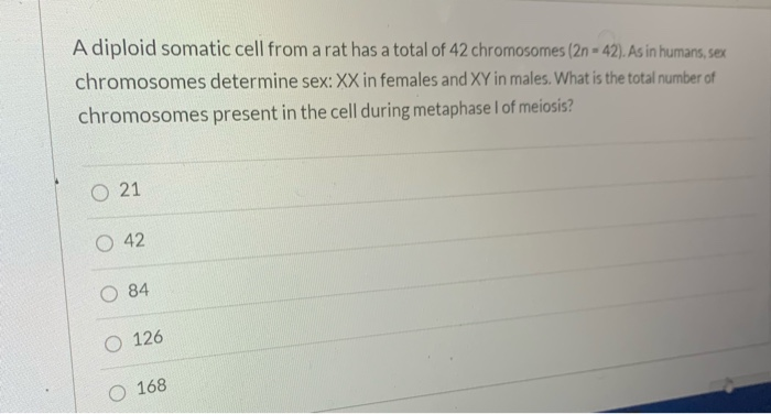 Solved A diploid somatic cell from a rat has a total of 42 | Chegg.com