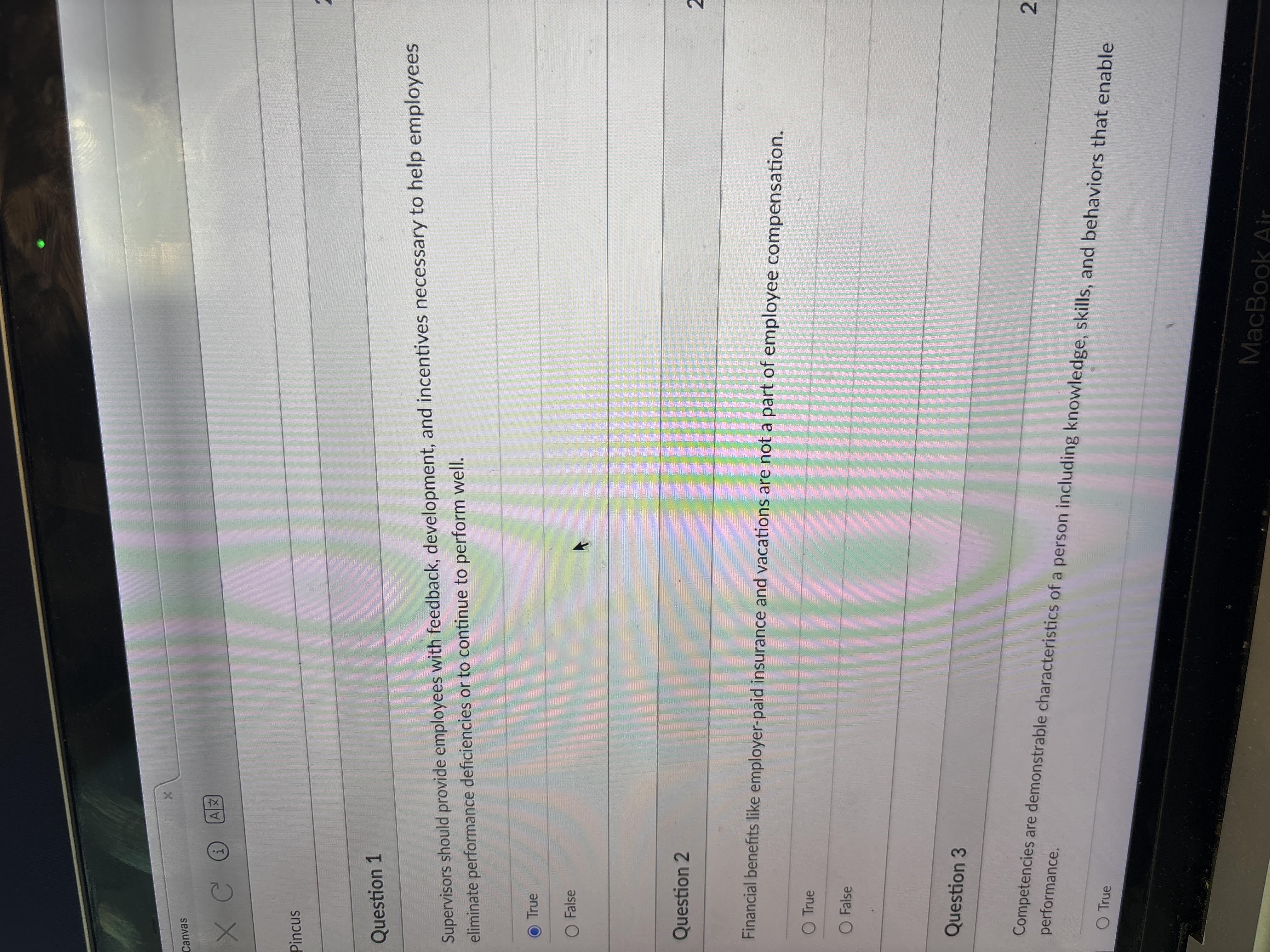 Solved CanvasPincusQuestion 1Supervisors should provide | Chegg.com