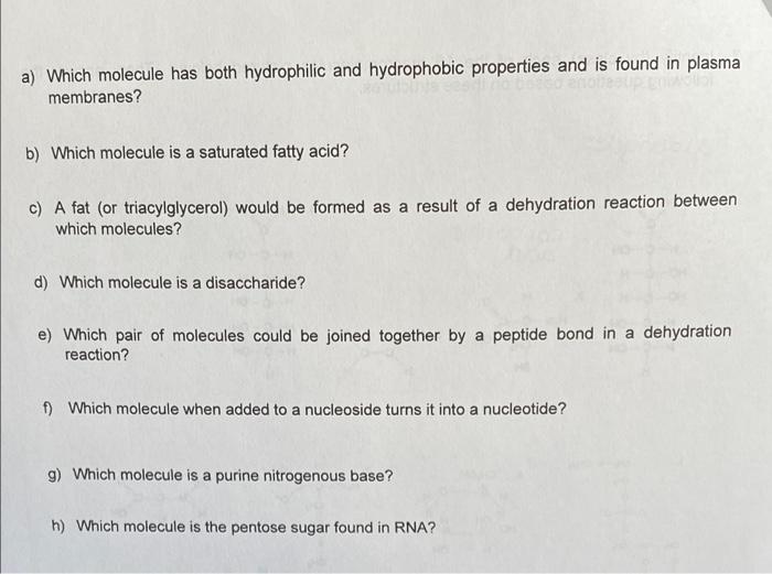 Solved identify by class each of the 15 macromolecules. then | Chegg.com
