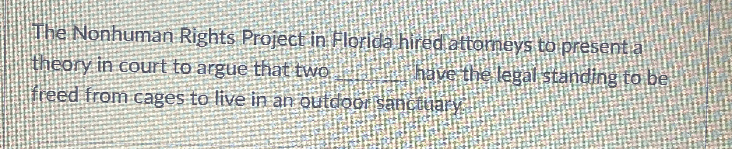 Solved The Nonhuman Rights Project in Florida hired | Chegg.com