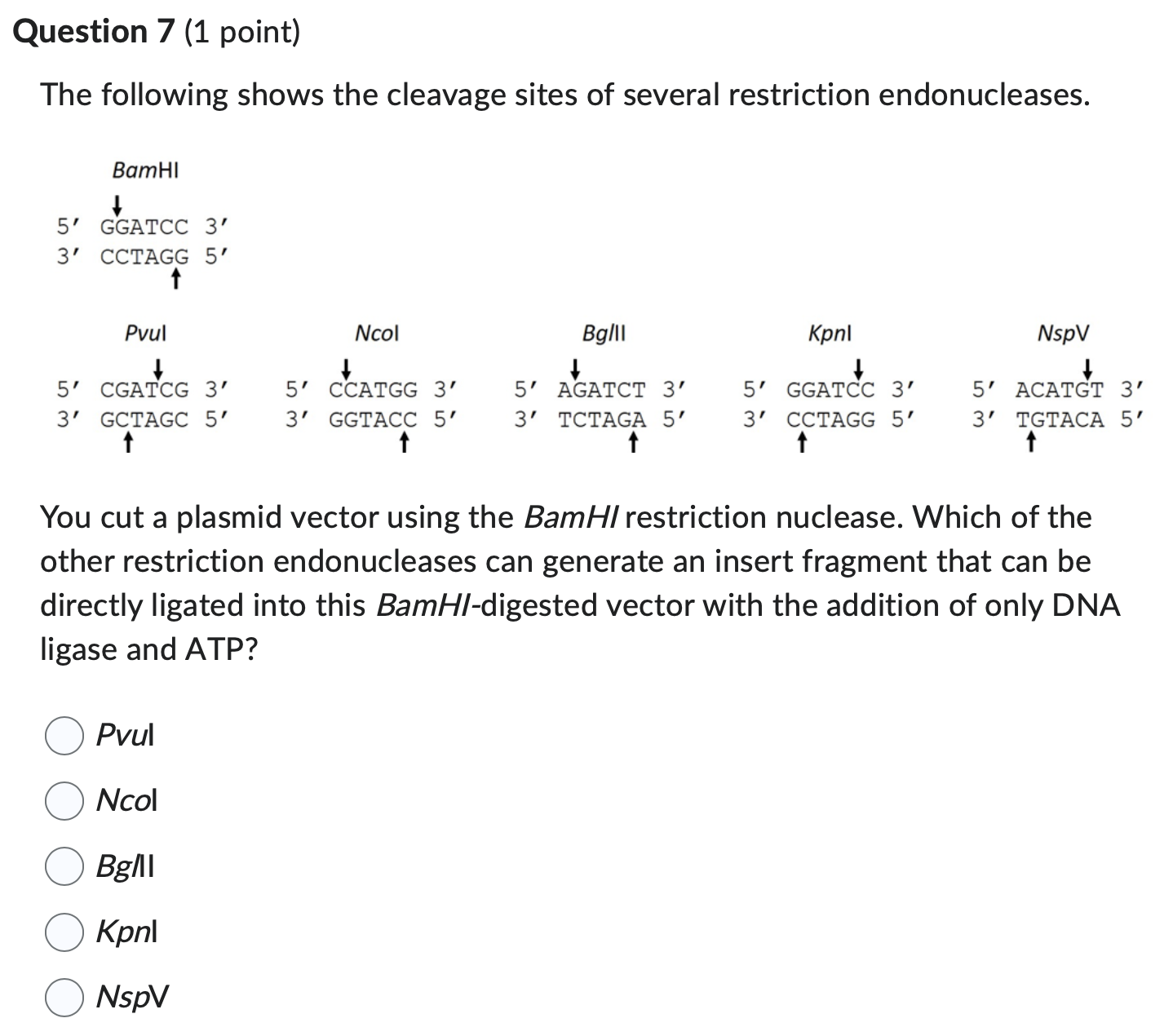 Solved Question 7 (1 ﻿point)The following shows the cleavage | Chegg.com
