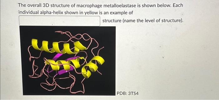 Solved The overall 3D structure of macrophage | Chegg.com