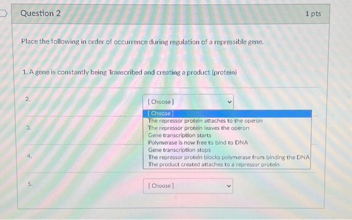 Solved Place the following in order of occurrence during | Chegg.com
