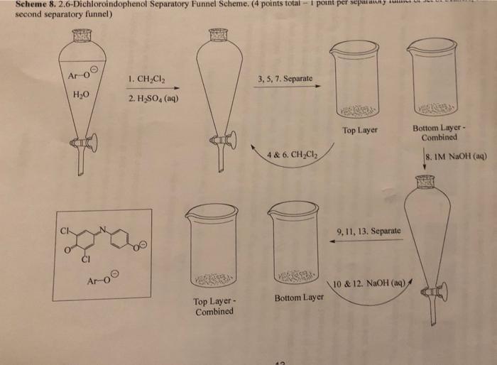 Solved Scheme 8.2.6-Dichloroindophenol Separatory Funnel | Chegg.com