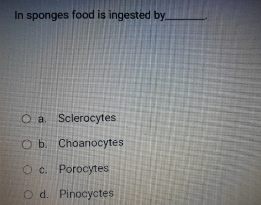 Solved In sponges food is ingested bya. ﻿Sclerocytesb. | Chegg.com