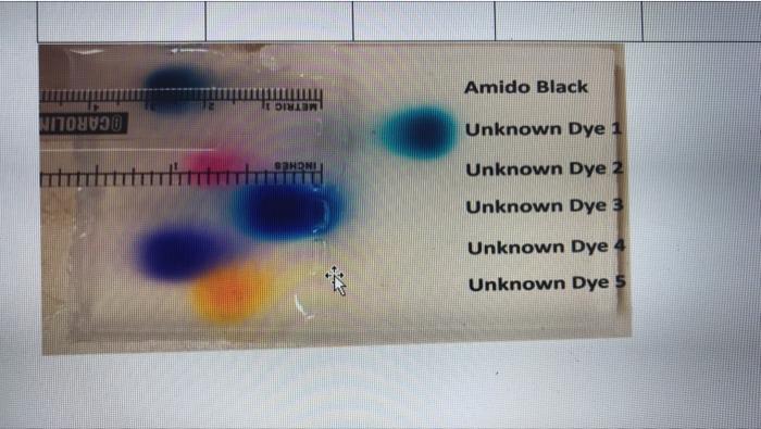 Solved why is amido black used in this electropherisis | Chegg.com