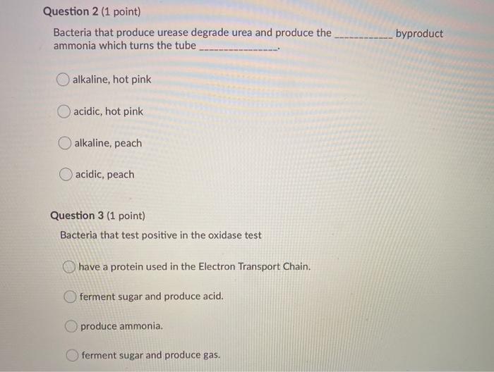 Solved Question 2 (1 point) Bacteria that produce urease | Chegg.com