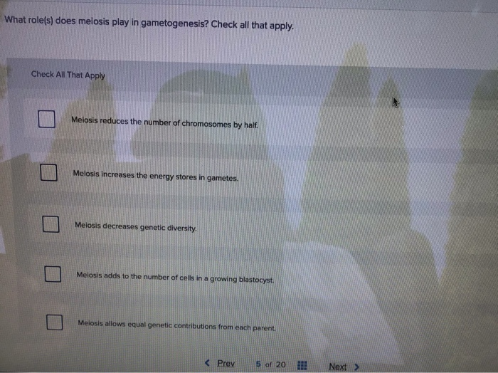 Solved Match each developmental event with the correct end | Chegg.com