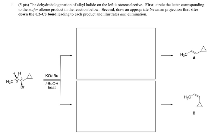 Solved (5 pts) The dehydrohalogenation of alkyl halide on | Chegg.com
