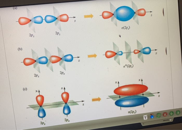Solved | 000 (2) 22: 2p. (b) مج ( * (2) 2. p= (c) (2) 2px | Chegg.com