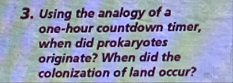 Solved Using the analogy of a one-hour countdown timer, when | Chegg.com