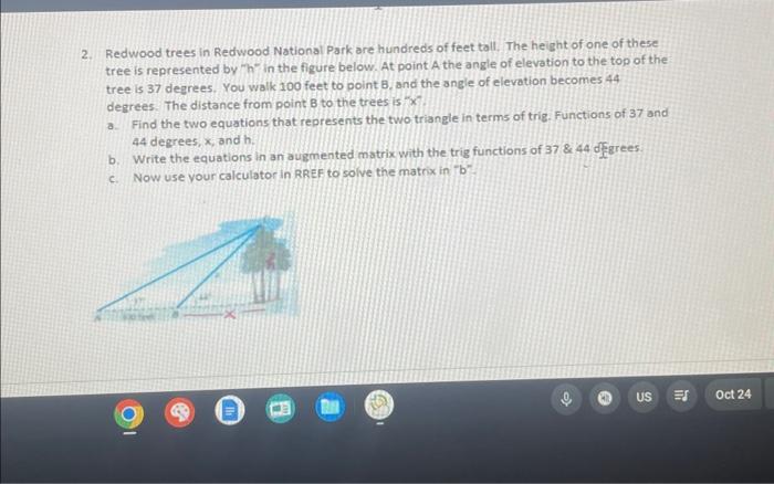 Solved Redwood trees in Redwood National Park are hundreds | Chegg.com