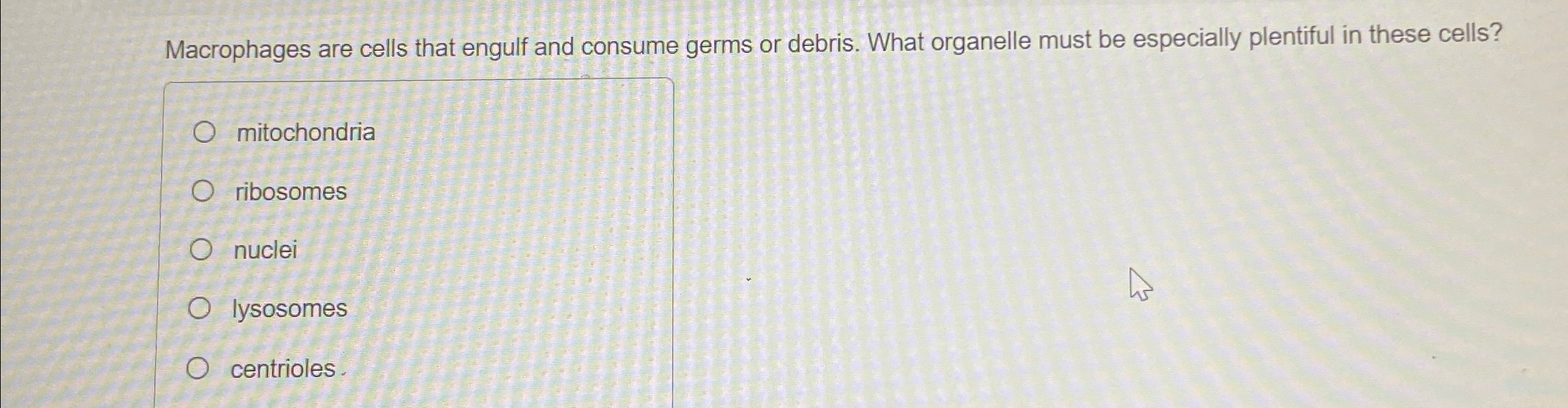 Solved Macrophages are cells that engulf and consume germs | Chegg.com