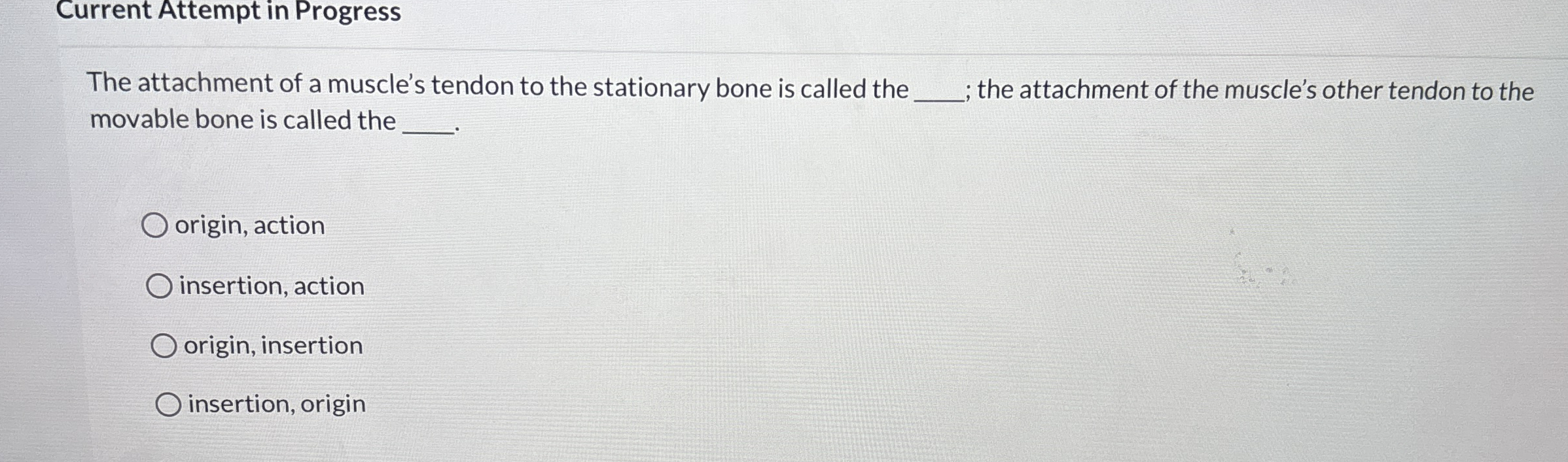 Solved Current Attempt in ProgressThe attachment of a | Chegg.com