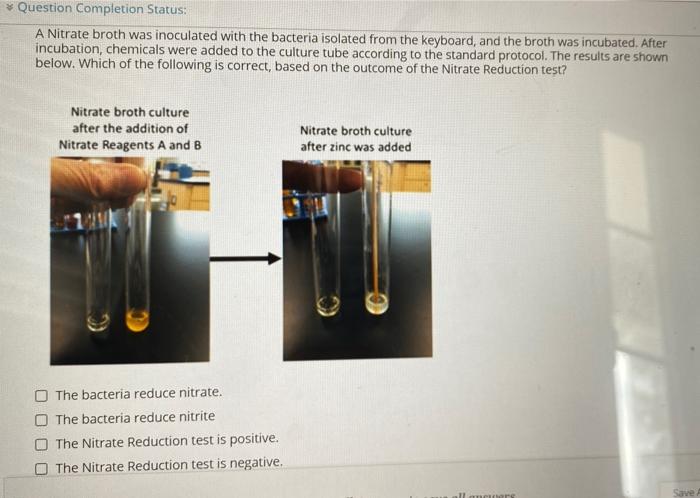 Solved * Question Completion Status: A Nitrate broth was | Chegg.com