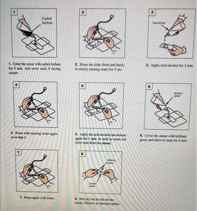 Solved Introduction: Connecting Your Learning Lab 3 | Chegg.com