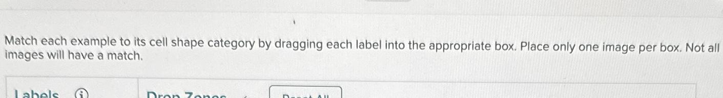 Solved Match each example to its cell shape category by | Chegg.com