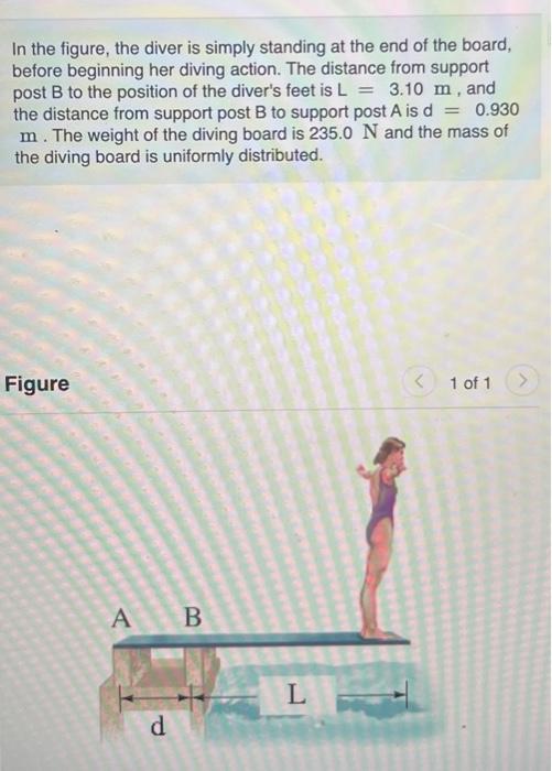 Solved Find the torque about the front support post (B) of a | Chegg.com
