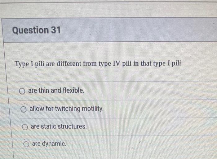 Solved Question 31 Type I pili are different from type IV | Chegg.com