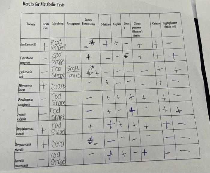 Solved Results for Metabolic Tests Bacteria Lactose Gran | Chegg.com