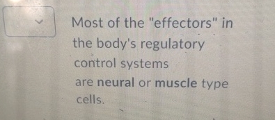 Solved Most of the "effectors" in the body's regulatory | Chegg.com