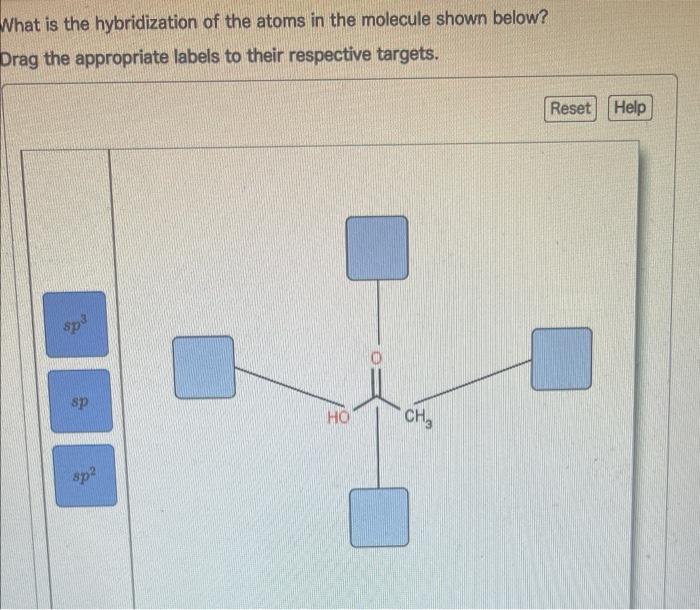 Solved What is the hybridization of the atoms in the | Chegg.com